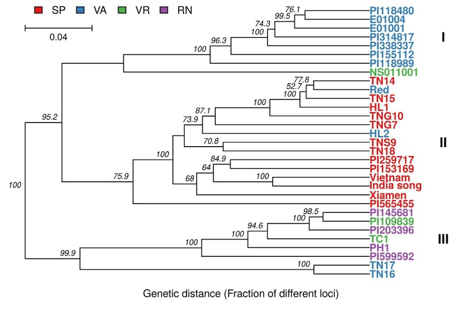 Valoriser la diversité génétique pour l'agriculture de demain